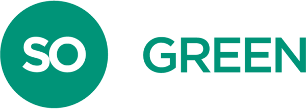 ราบนต้นไม้ สาเหตุต้นไม้ใบไหม้ ปัญหาใหญ่ที่ต้องแก้ให้ตรงจุด - SO GREEN