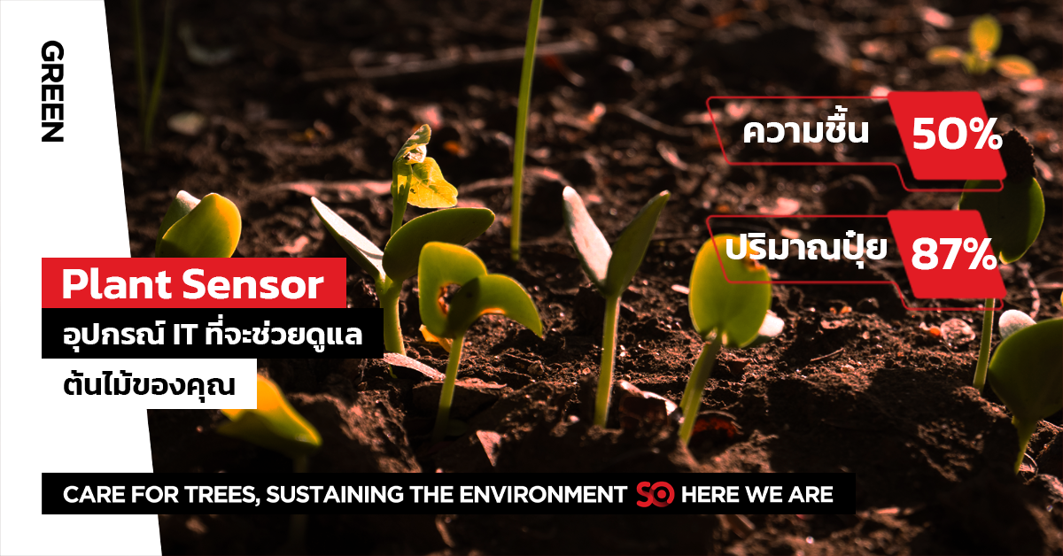 ดูแลต้นไม้ ด้วย Plant Sensor เมื่อ Technology มาช่วยคุณกับต้นไม้คุณ ...