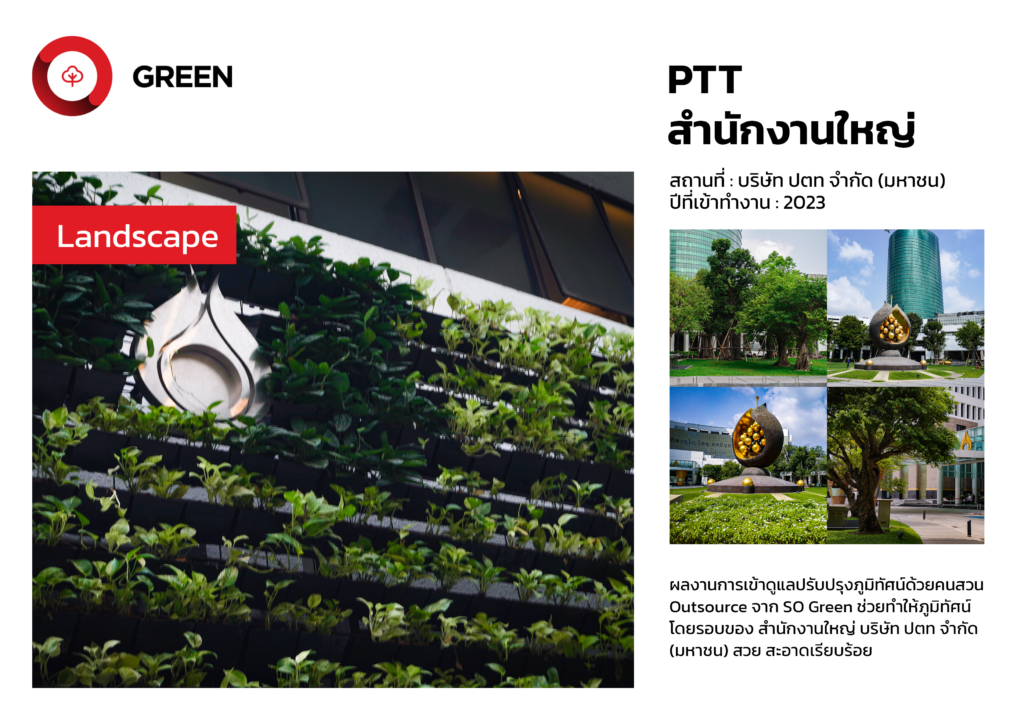 🔴 SO GREEN : Care for trees, Sustain the environment. - SO GREEN