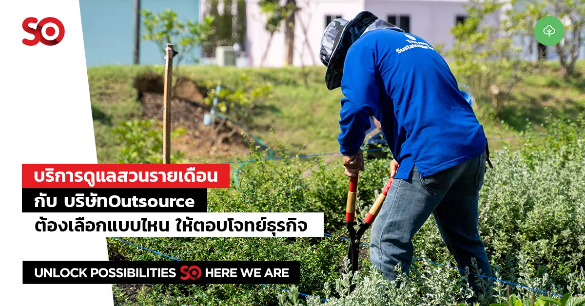 บริการ รับดูแลสวนรายเดือน กับ Outsource เลือกแบบไหนให้ตอบโจทย์ธุรกิจ - SO GREEN